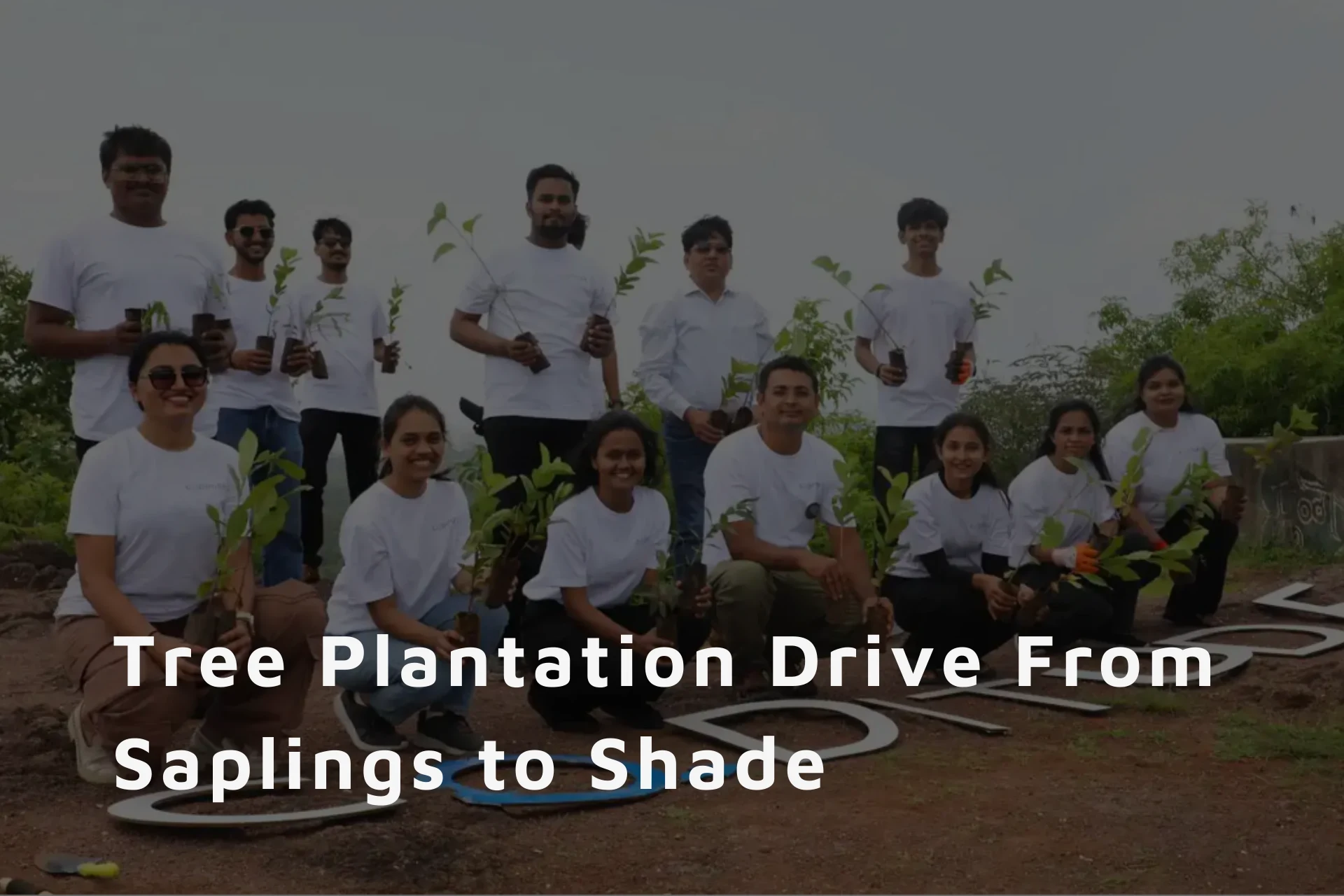 Tree Plantation Drive | Making Earth Greener